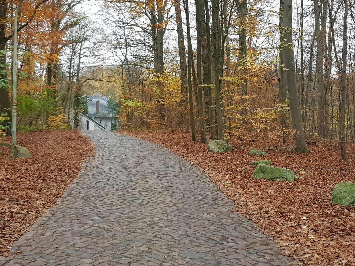 Julienluster Weg – Kiel-Wiki